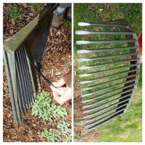 The Golden Gark Rake: Product Review - Gardening Products Review
