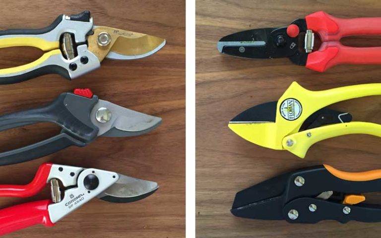 Best Hand Pruners / Pruning Shears: Guide & Recommendations - Gardening ...