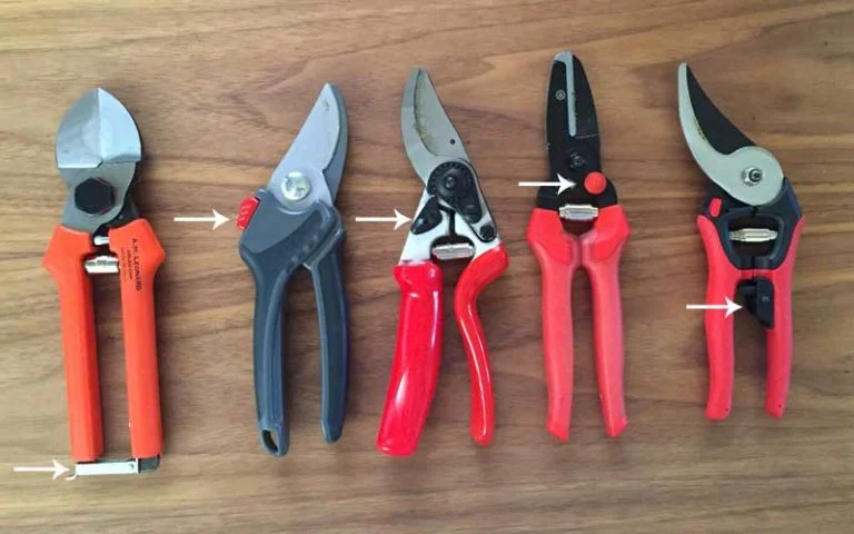 Best Hand Pruners / Pruning Shears: Guide & Recommendations - Gardening ...