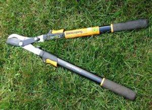 Fiskars Telescoping Power-Lever Bypass Lopper: Review - Gardening ...