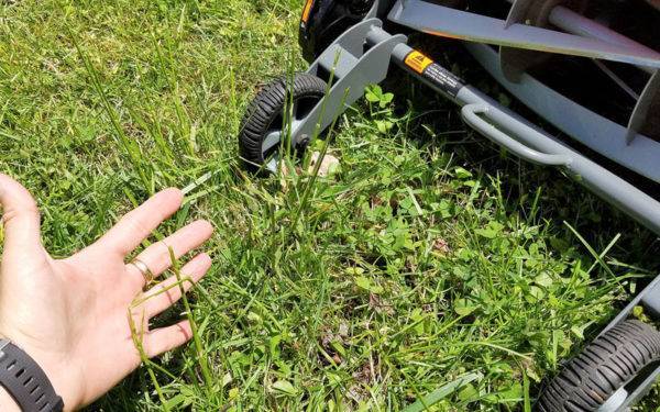 Fiskars StaySharp™ 18” Max Reel Mower: Product Review