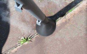 DynaSteam DS1600 Steam Weeder: Review - Gardening Products Review