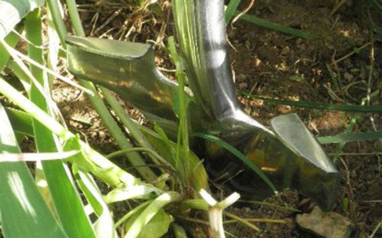 Radius PRO Weeder: Product Review