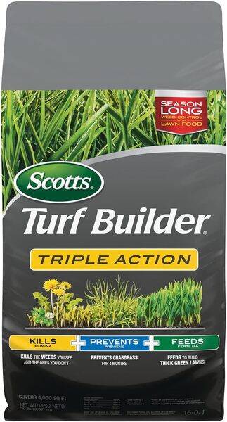 7 Best Lawn Fertilizers to Grow & Maintain Healthy Grass - Gardening ...