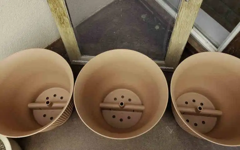 Daisy Rain Self-Watering Sprinkler Pots: Product Review