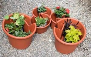 My Garden Post Vertical Plant Support: Product Review