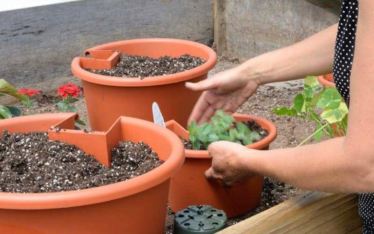 My Garden Post Vertical Plant Support: Product Review