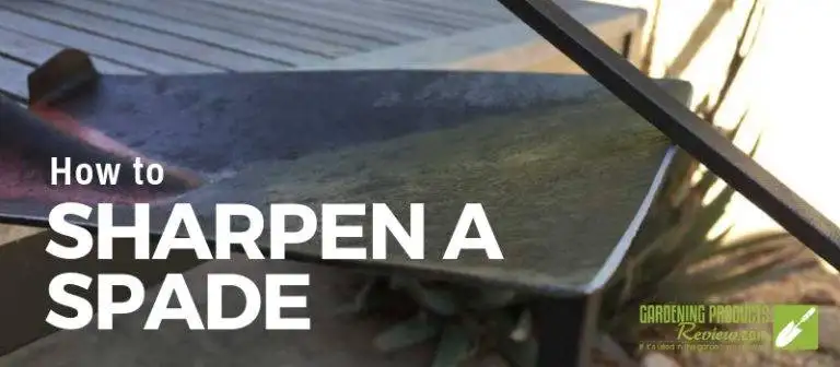 Best Sharpeners for Gardening & Landscape Tools: Guide, Reviews ...