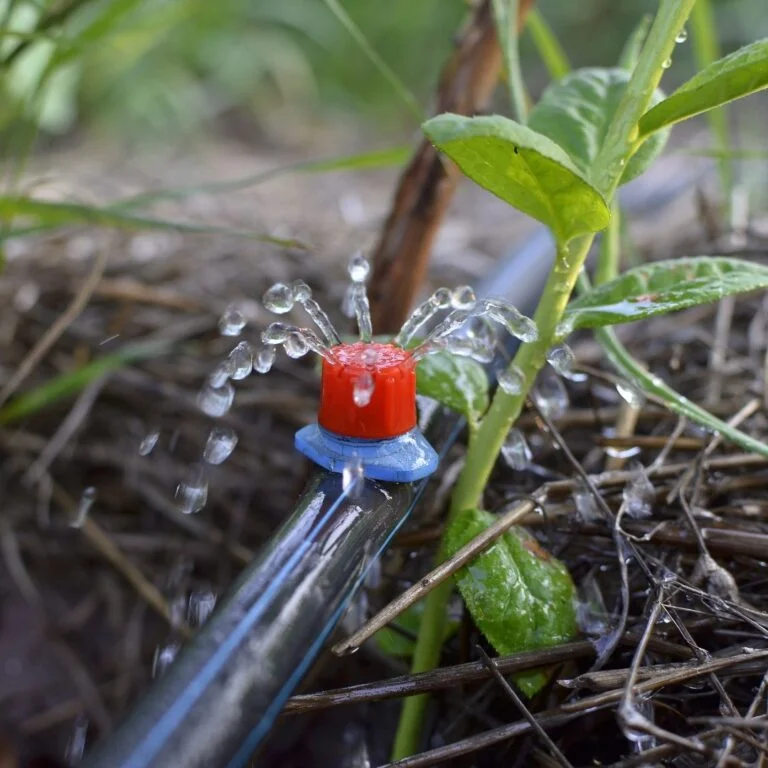 6 Best Drip Irrigation Systems to Moderate Garden Water Flow ...
